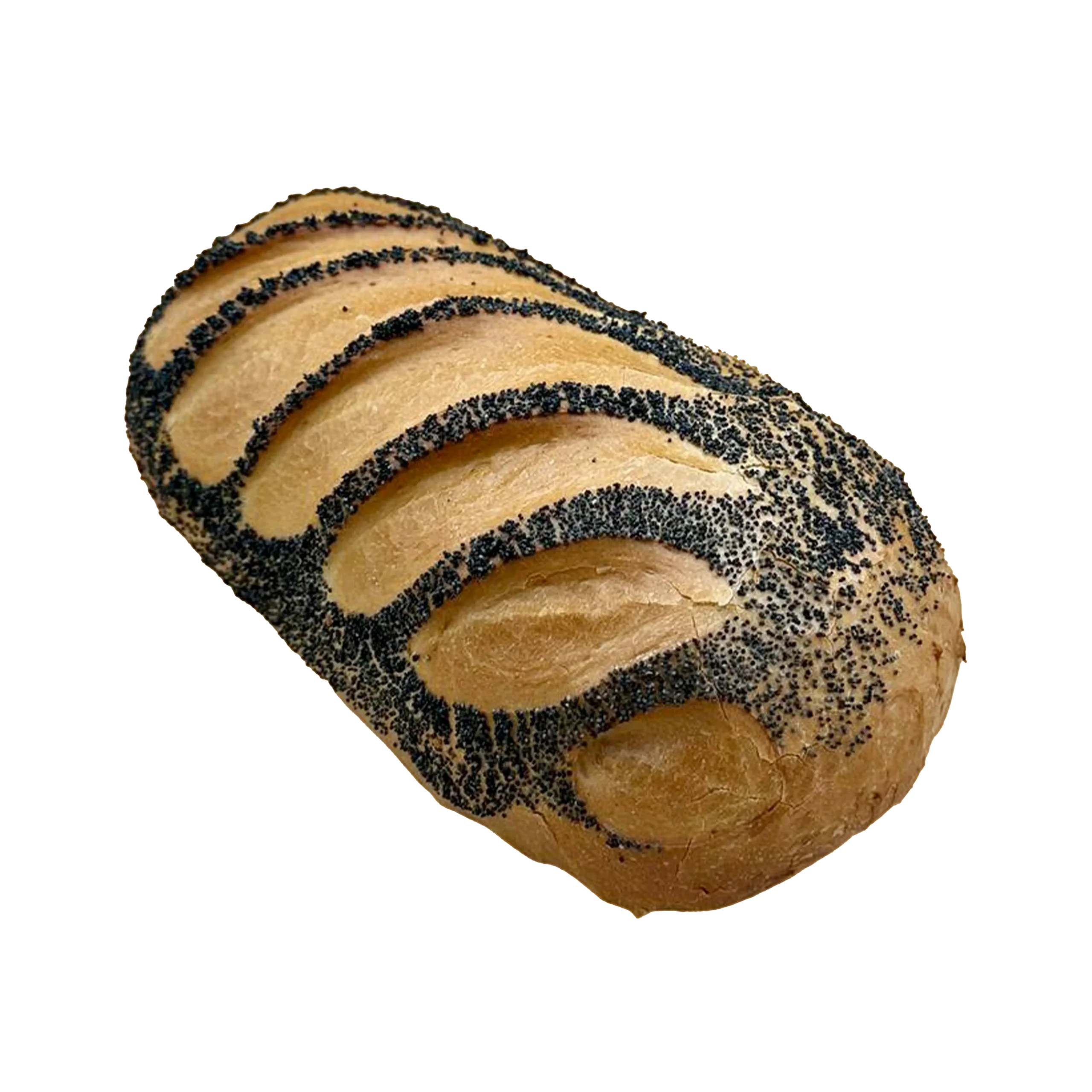 Small Poppy Seed Bloomer 500g | Oz Bakery
